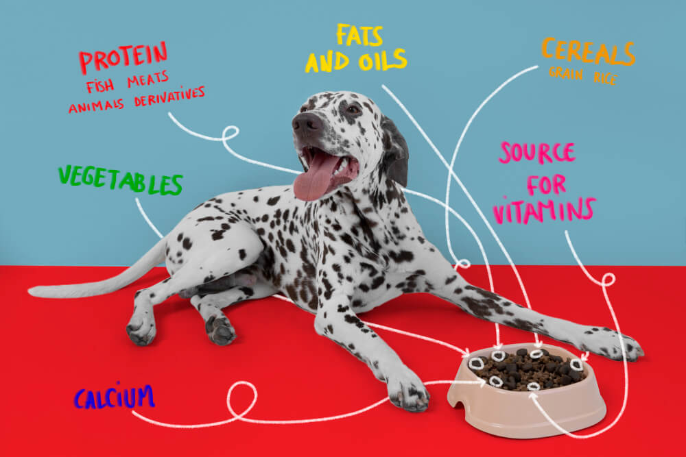 What, When and How?– Tail Wiggle